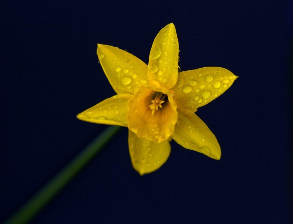 Photography for Fun – Devizes U3A – educational, recreational and ...