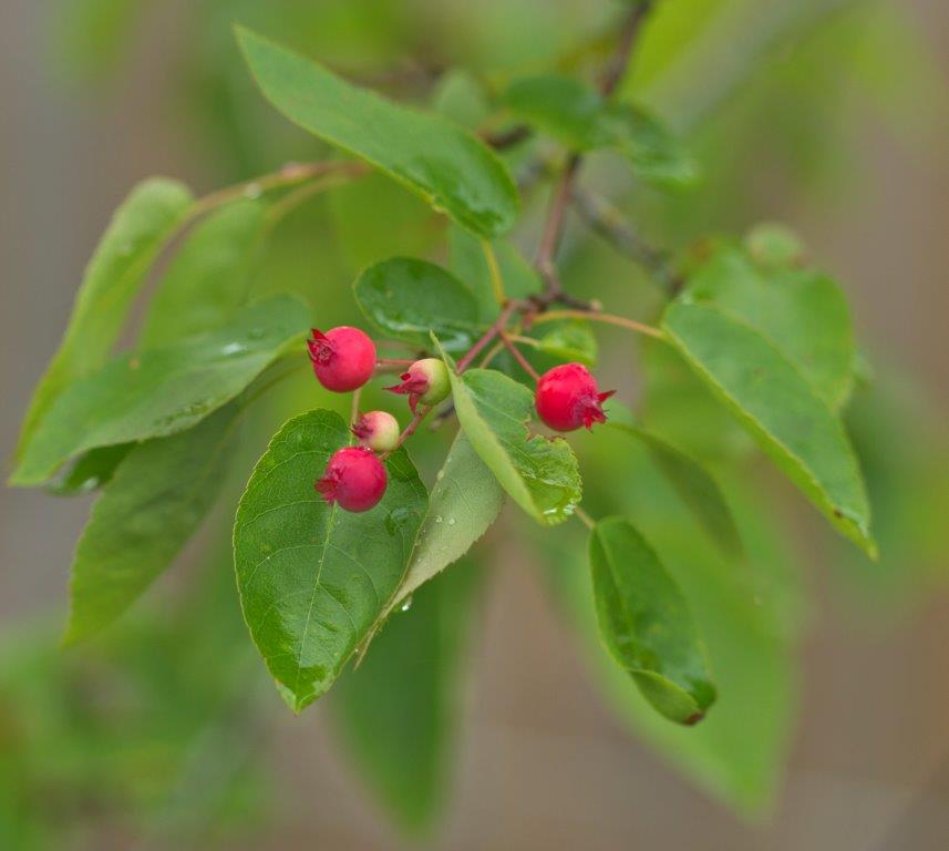 Photography for Fun – Devizes U3A – educational, recreational and ...