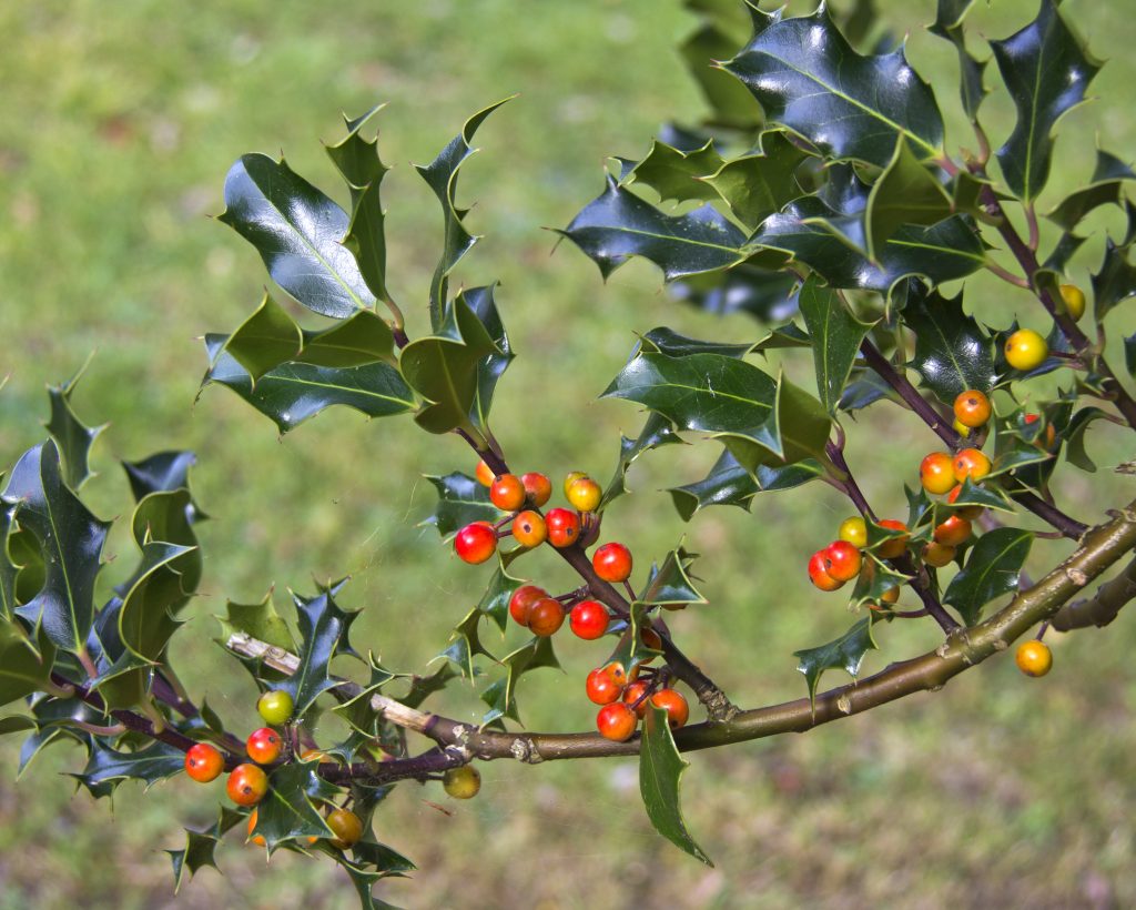 Photography for Fun – Devizes U3A – educational, recreational and ...