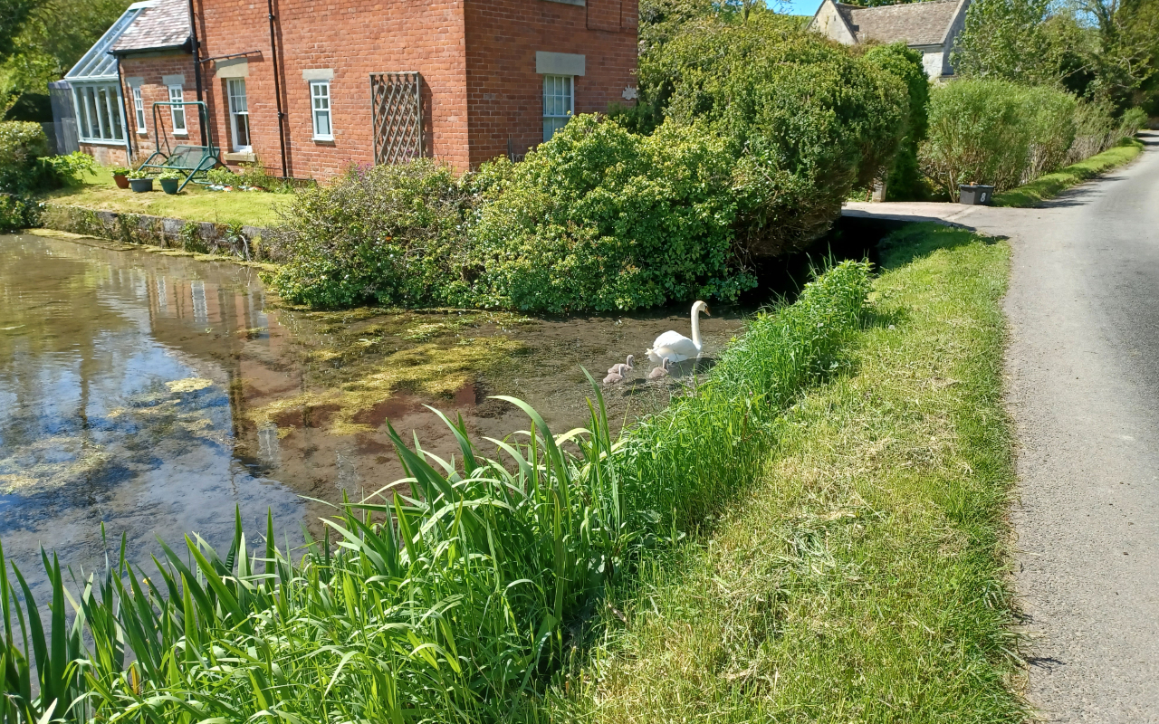 Thursday Walkers – Devizes U3A – educational, recreational and leisure ...